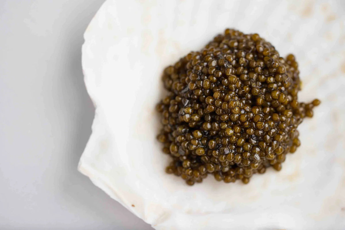 Caviar Osietra Classic by Giaveri | Bester Caviar